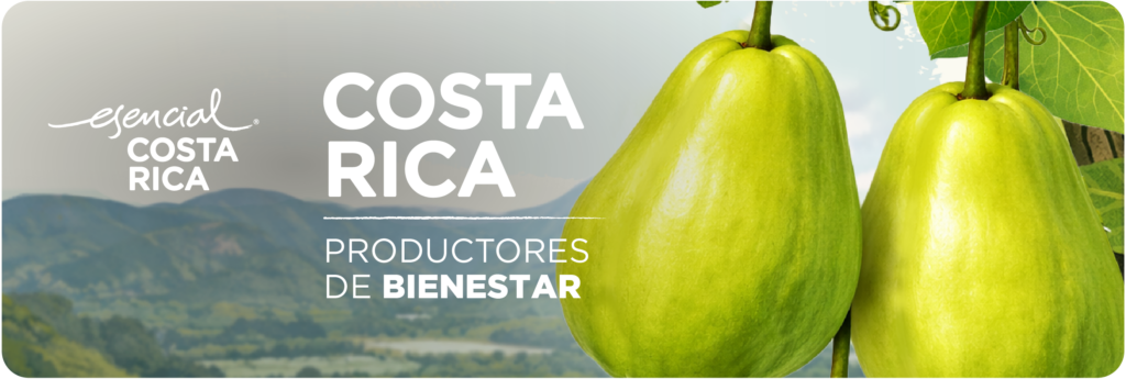 Chayote de Costa Rica: Salud, Versatilidad y Estilo Pura Vida